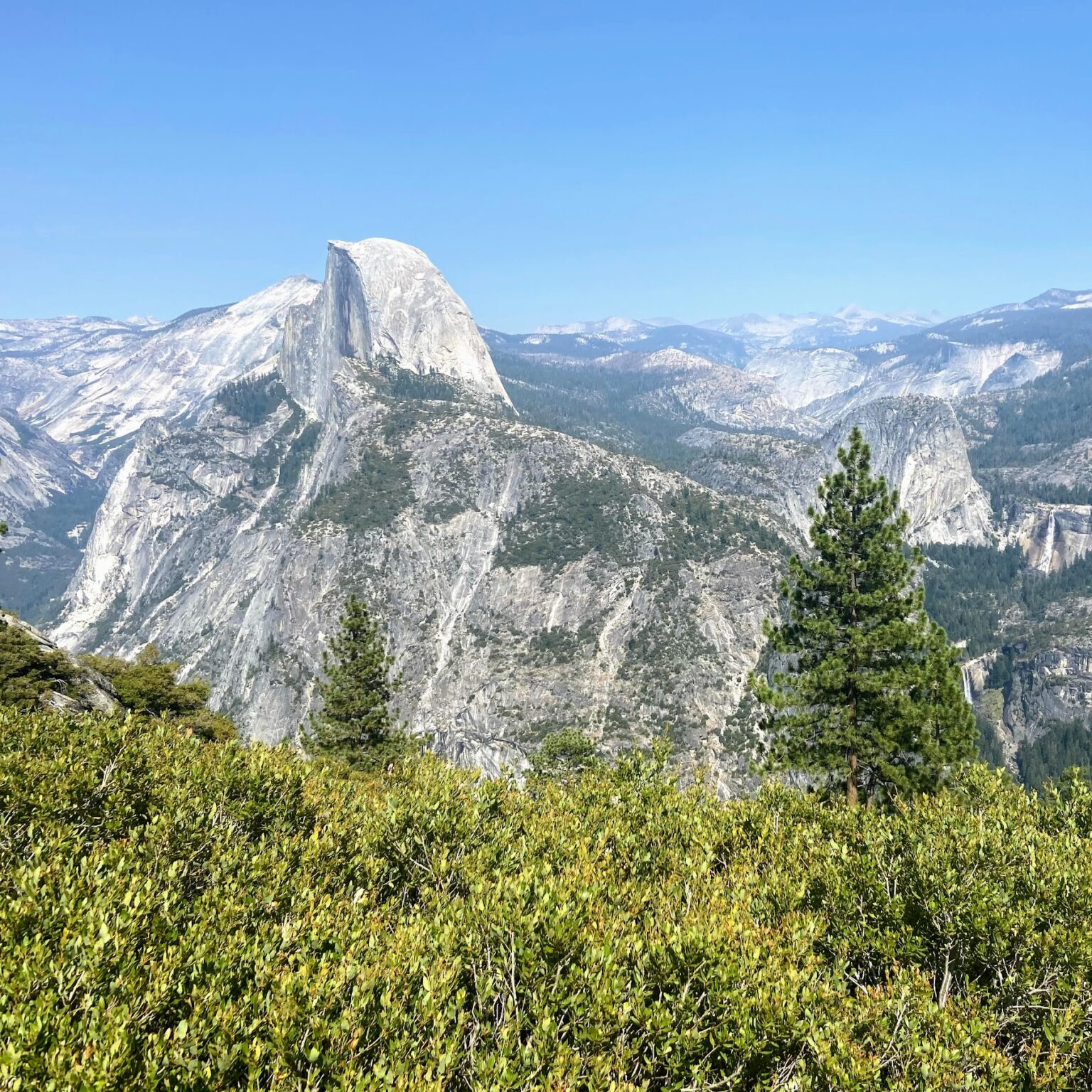 Yosemite National Park Guide - Andrea Abroad