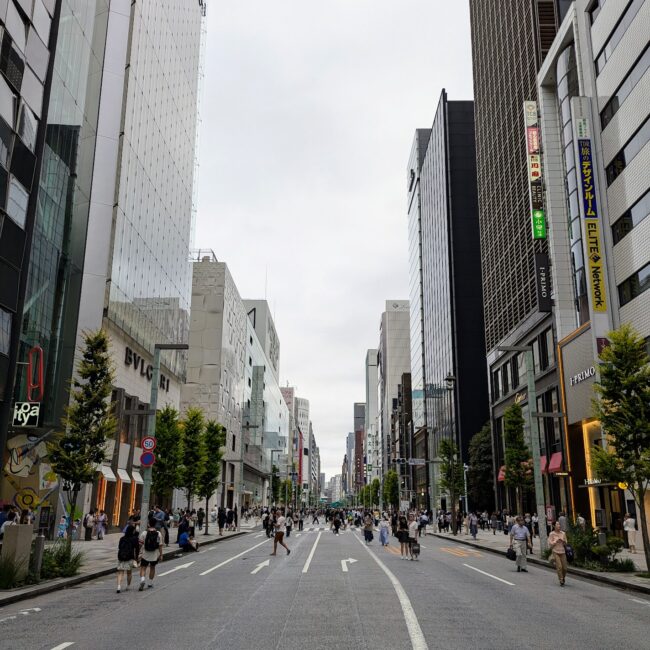 Discover Tokyo - Traveler's Guide to Japan - Andrea Abroad